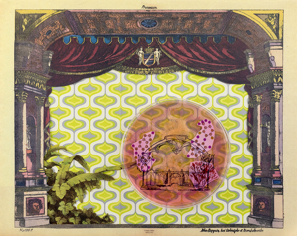 Baroque Biology Paper Theatre (Molecular Pavilion) – IOTA Studio Gallery
