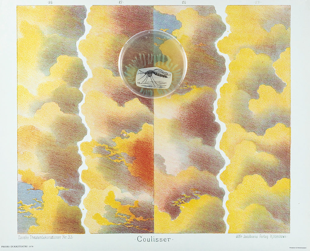 Baroque Biology Paper Theatre (Sullying Guests) – IOTA Studio Gallery